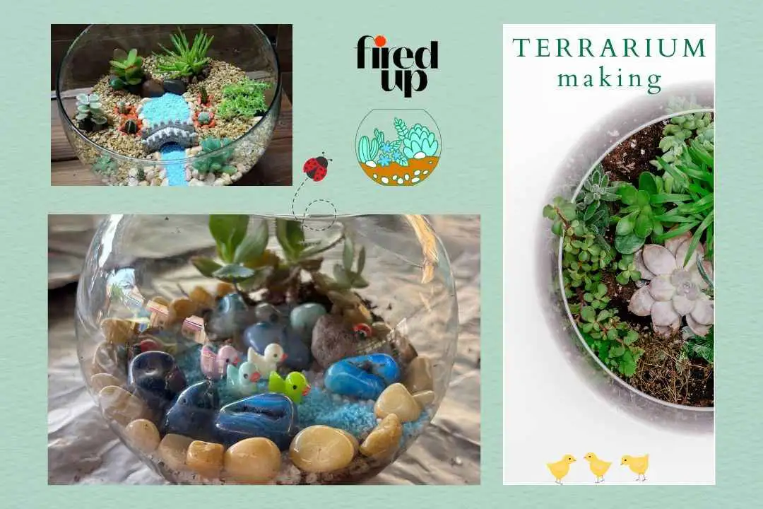 Terrarium Making Workshop | Events in Bengaluru