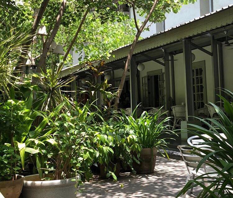 Wild Garden - The café at Amethyst | Eat / Drink in Chennai