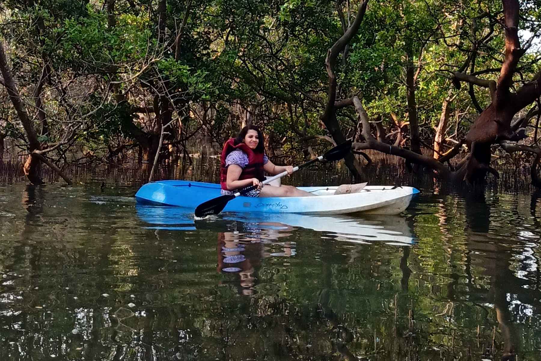 Mangrove Kayaking | Experiences in Goa